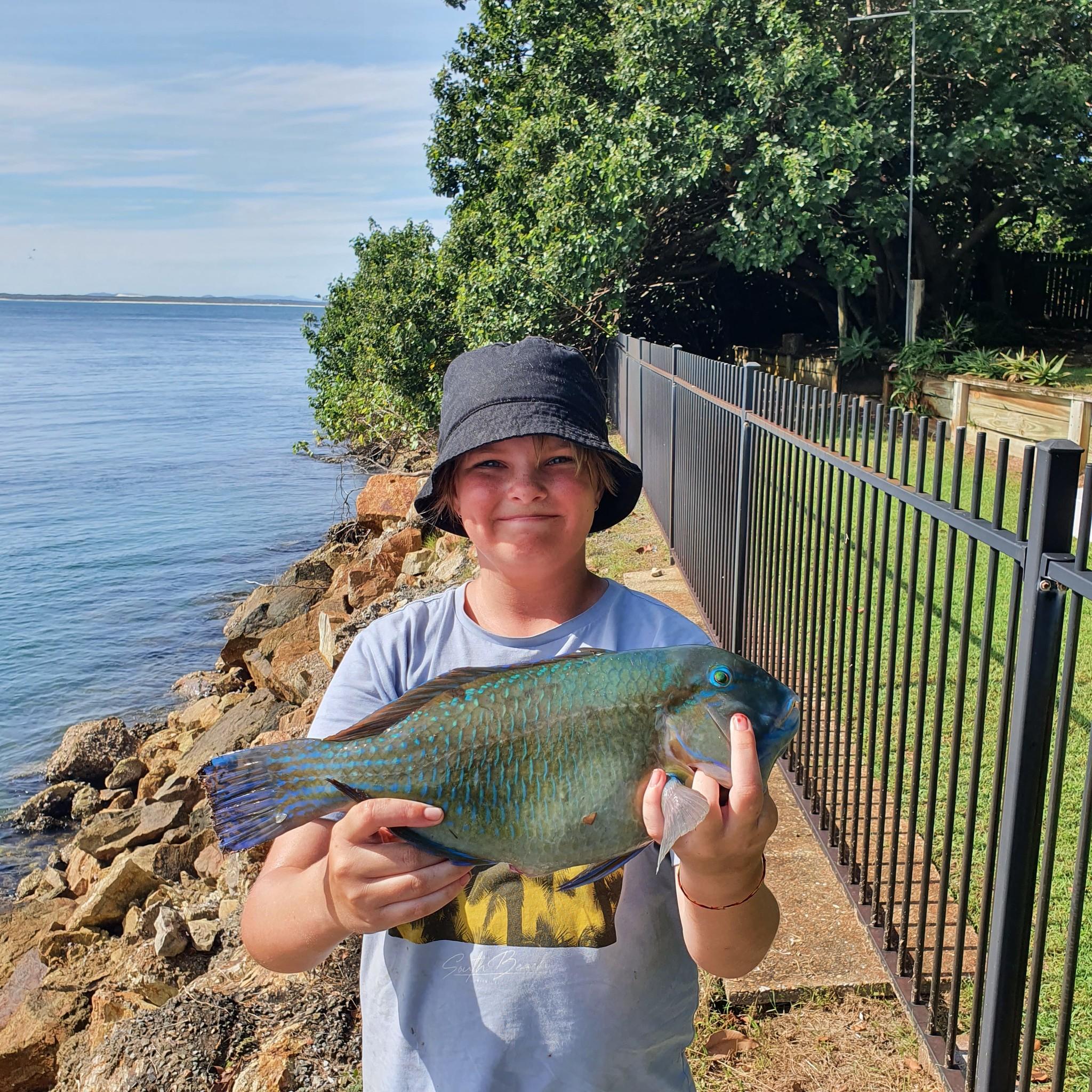 Amity Point Tuskies - Saltwater - Australian Fishing Online