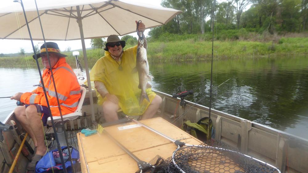 Southern strain large mouthed barra. - Freshwater - Australian Fishing ...