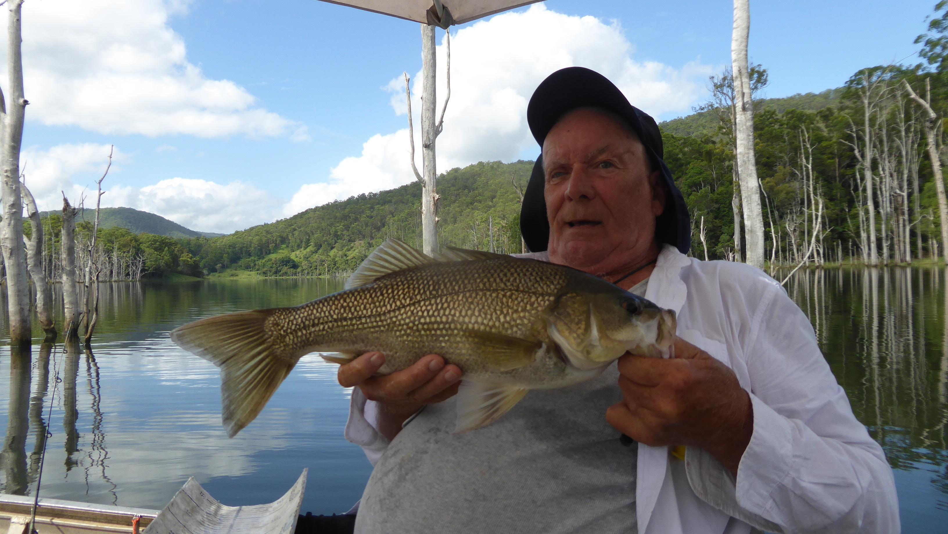 Tandanus day at hinze western arm30/1/25 - Freshwater - Australian ...
