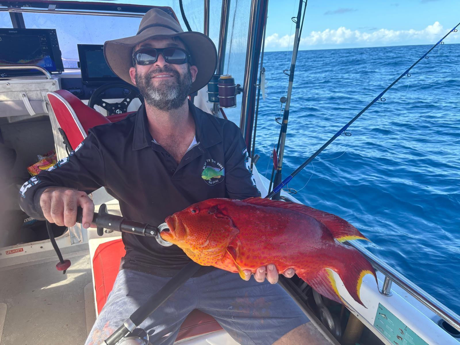 Whippy Tippy - Tackle, Rods and Reels - Australian Fishing Online