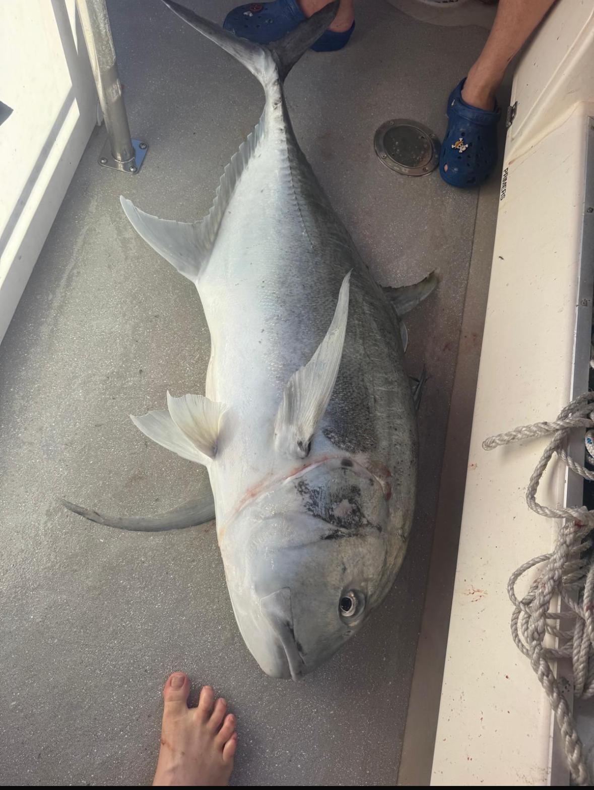 Turkey Beach 2025 - Saltwater - Australian Fishing Online