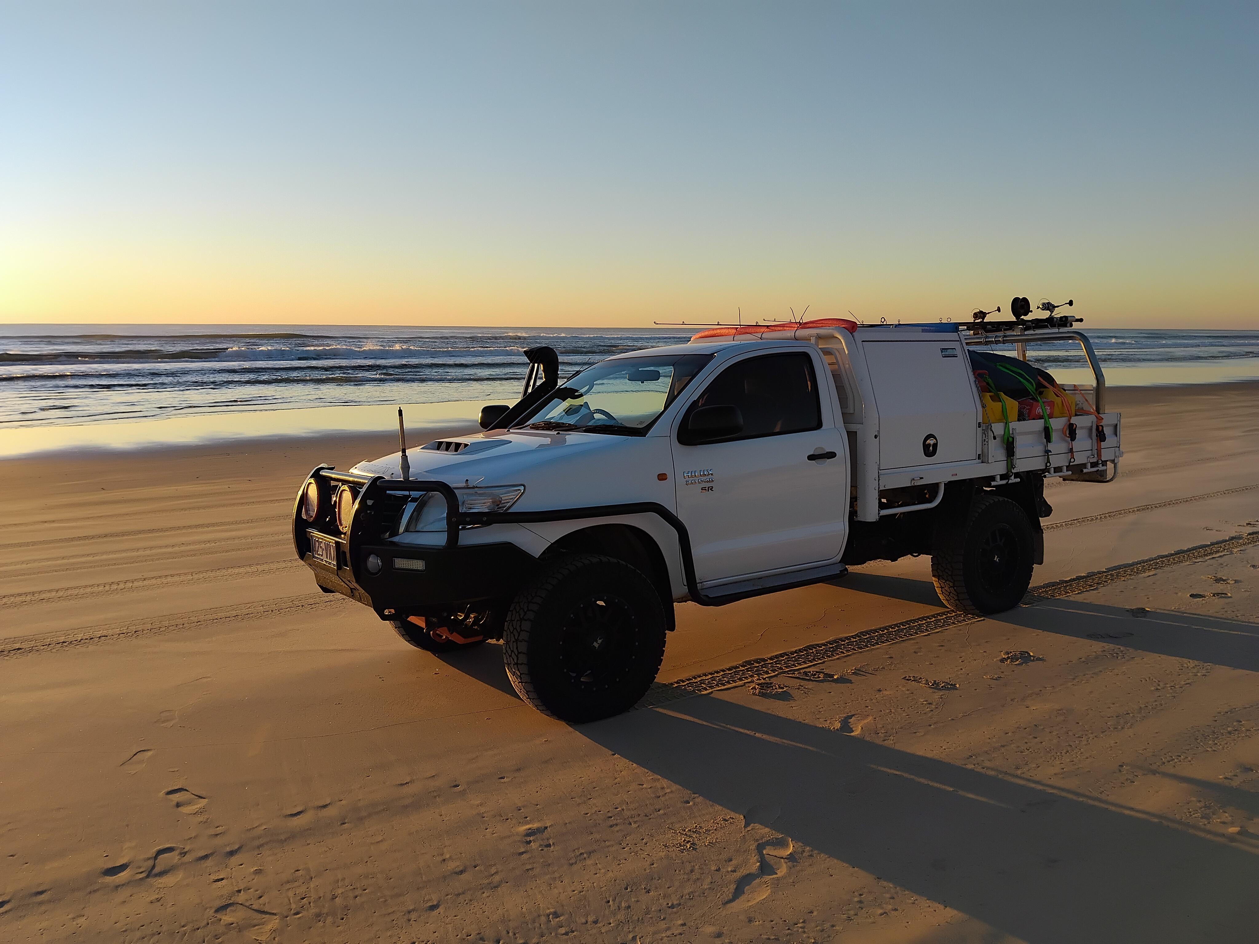 Fraser island tailor - Saltwater - Australian Fishing Online
