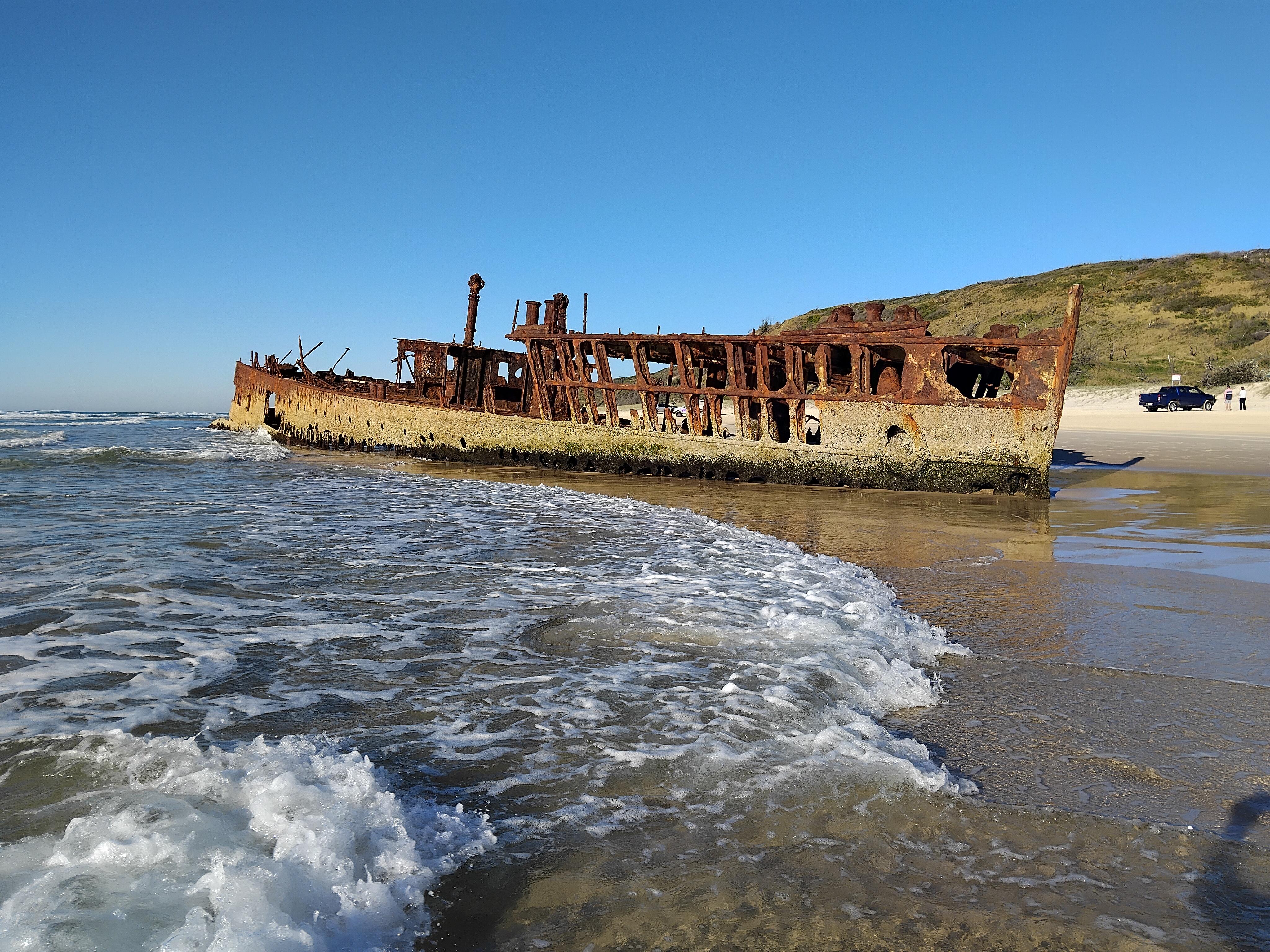 Fraser island tailor - Saltwater - Australian Fishing Online