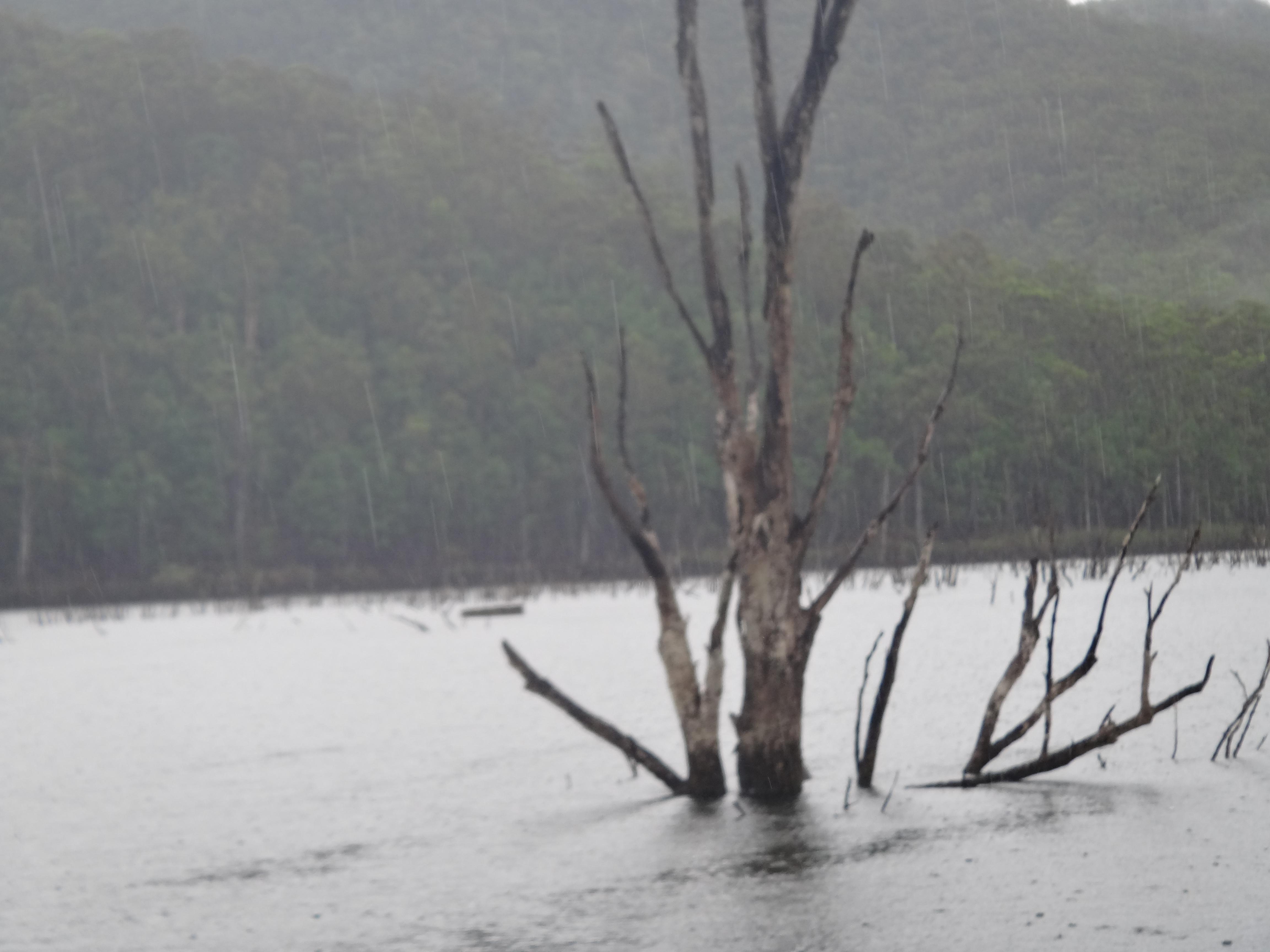 Stormy Hinze - Freshwater - Australian Fishing Online