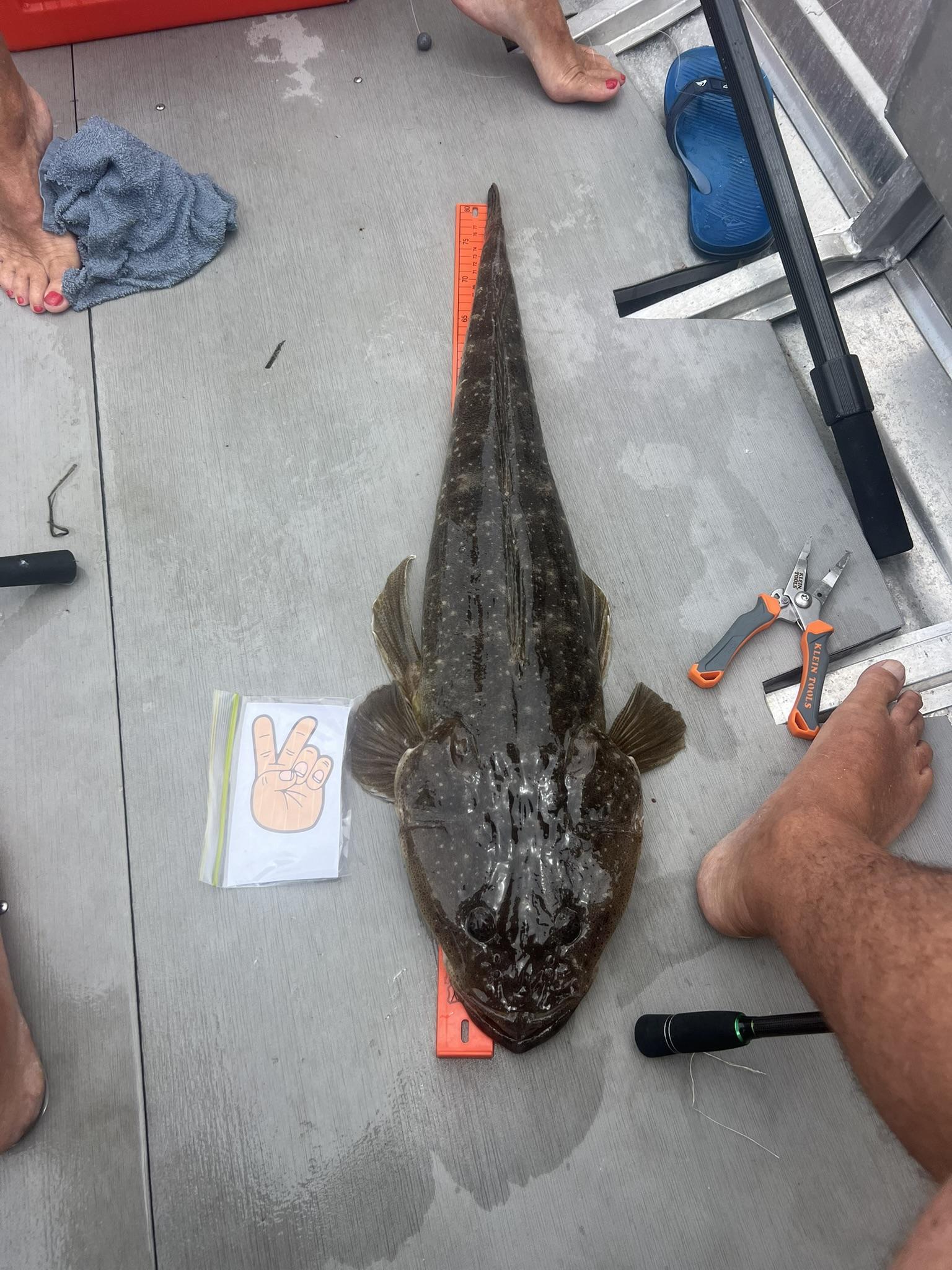 25/26 Fish of the Year Monthly Winners - Events - Australian Fishing Online